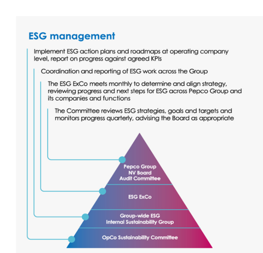Governance - Pepco Group